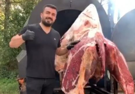 Roasting The Camel: A Lesson In Cultural Diversity - Maggie J's ...