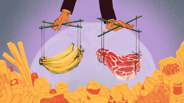 Canada's Food Guide should reflect solid science - Maggie J's Fabulous ...